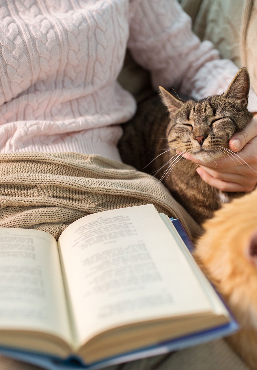 Veterinary Leadership Book Club - Veterinary Management Solutions